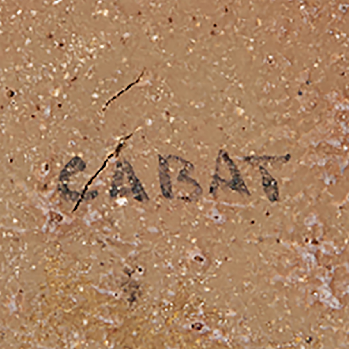 Cabat | The Marks Project
