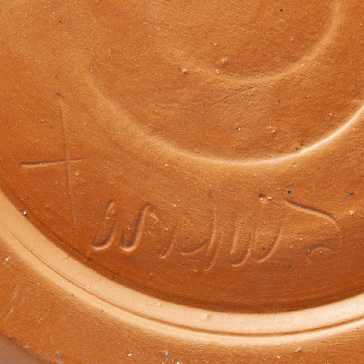 Tarshis | The Marks Project