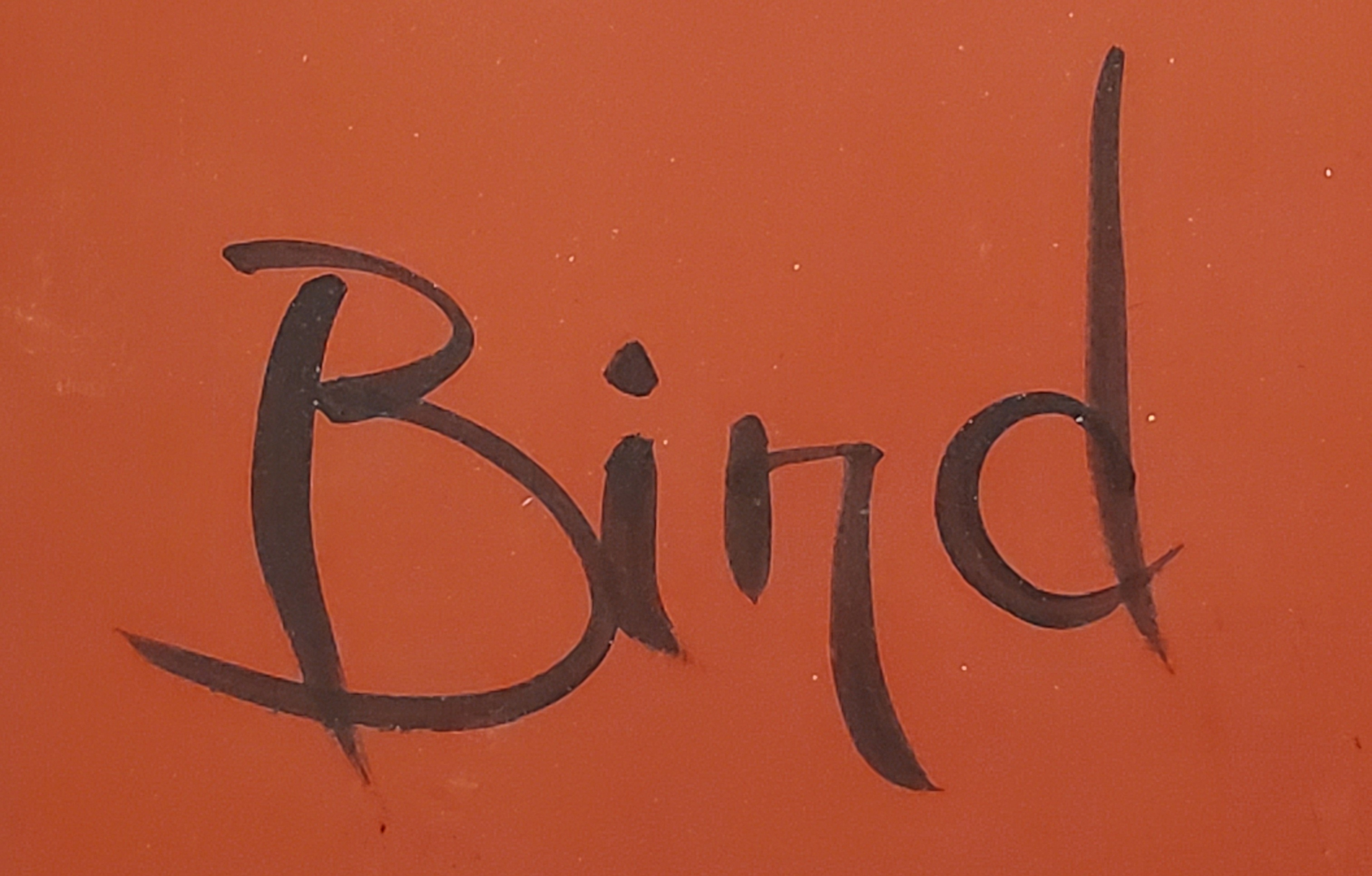 Bird | The Marks Project