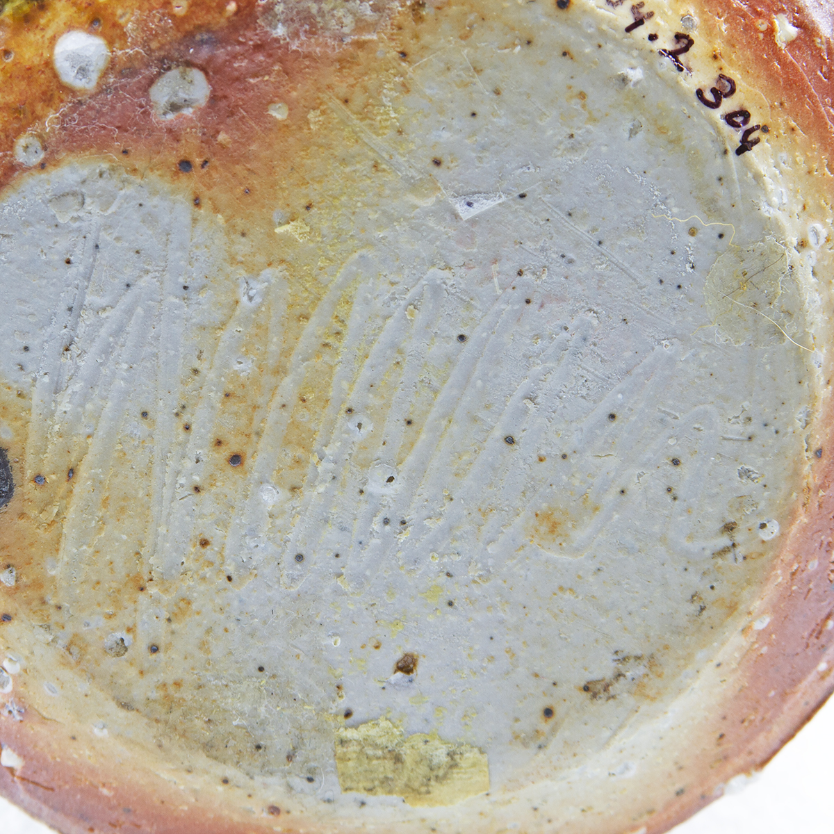 Shaner | The Marks Project