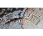 The Marks Project - A Marks Dictionary of American Studio Pottery, 1946 ...